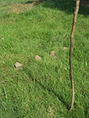 | Daytime Navigation Using The Stick And Shadow MethodPreppingToSurvive.com